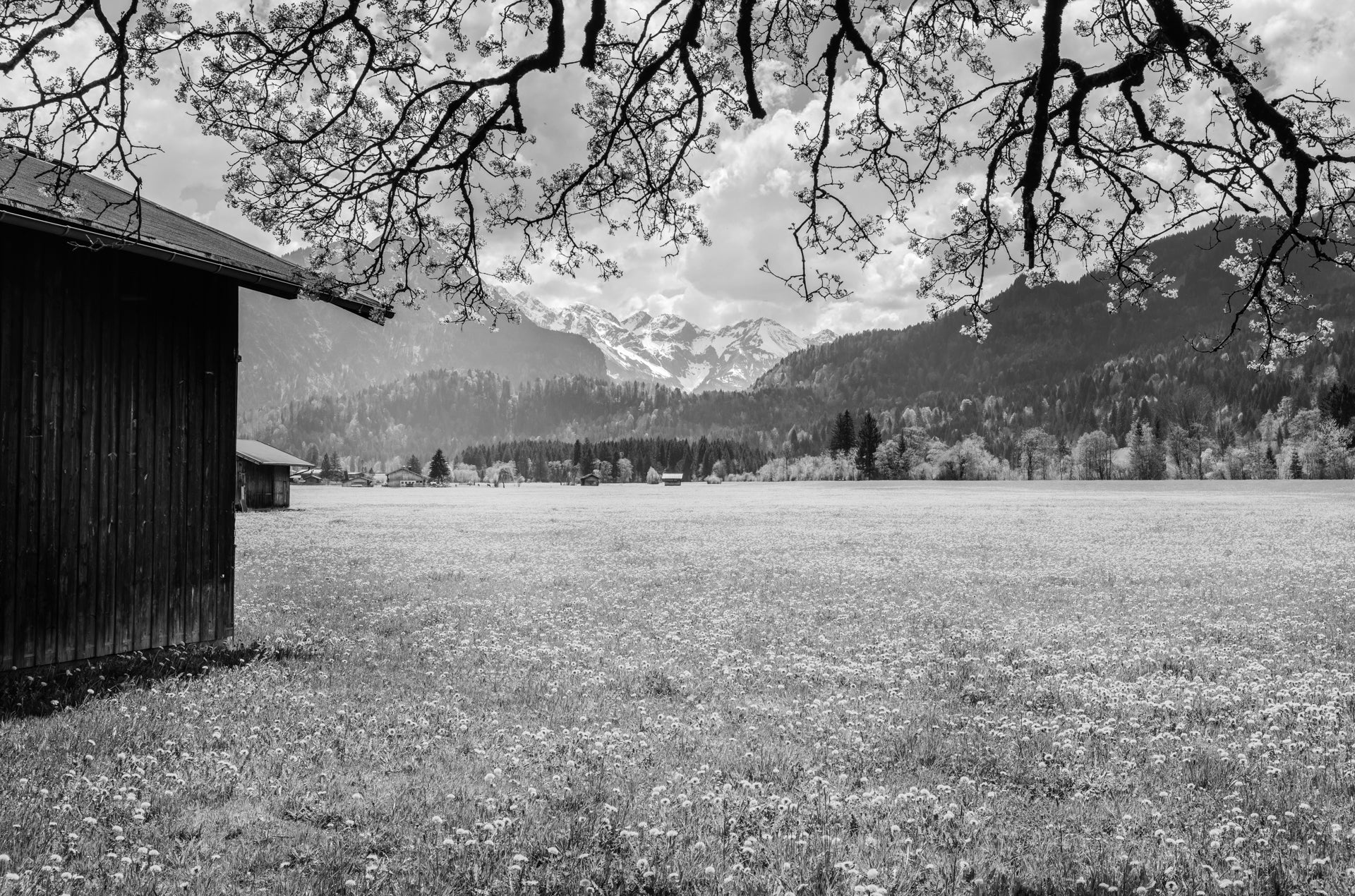 Stadl in den Oberstdorfer Wiesen s/w 1001300 – heimatfotograf.com