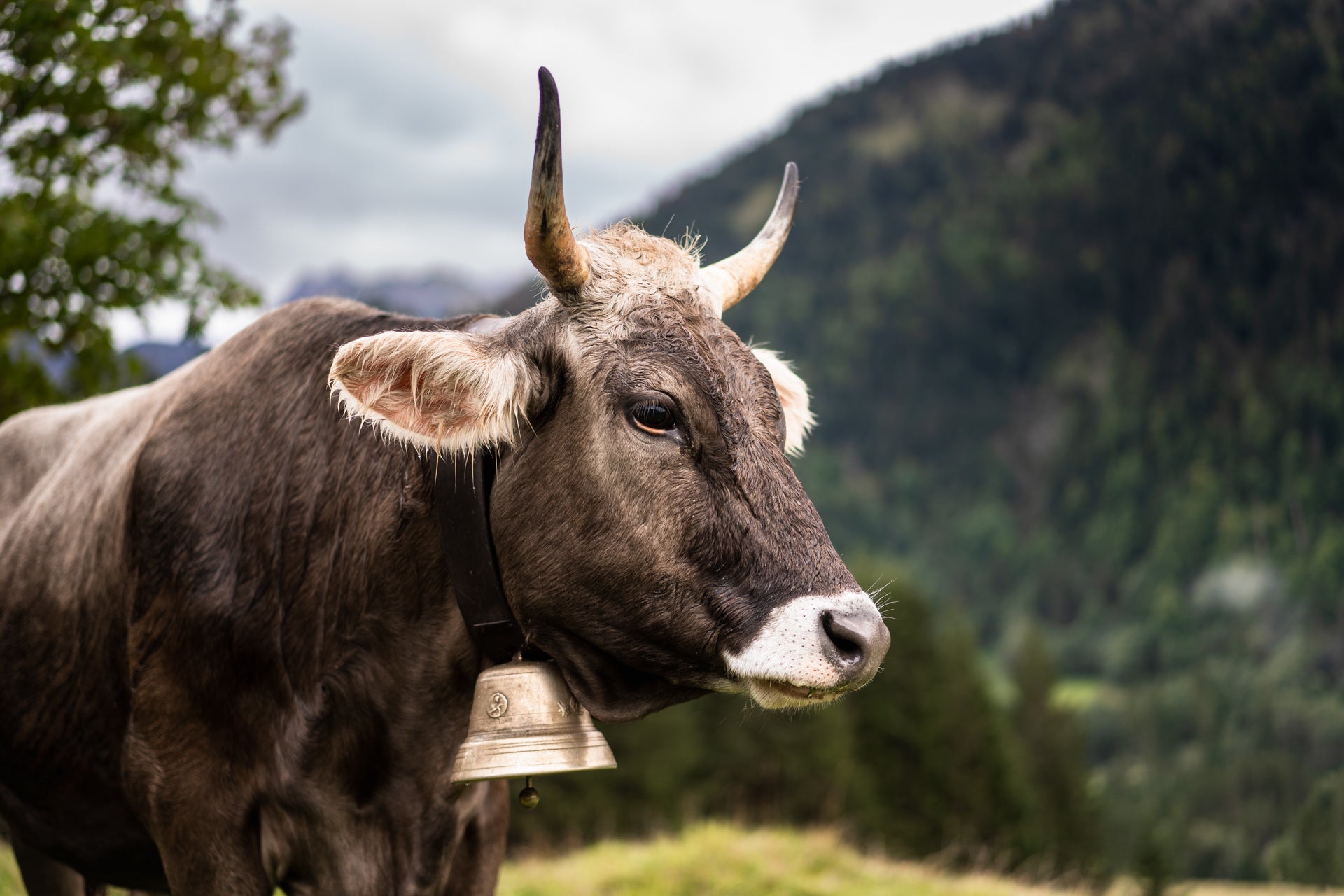 7001070 – heimatfotograf.com